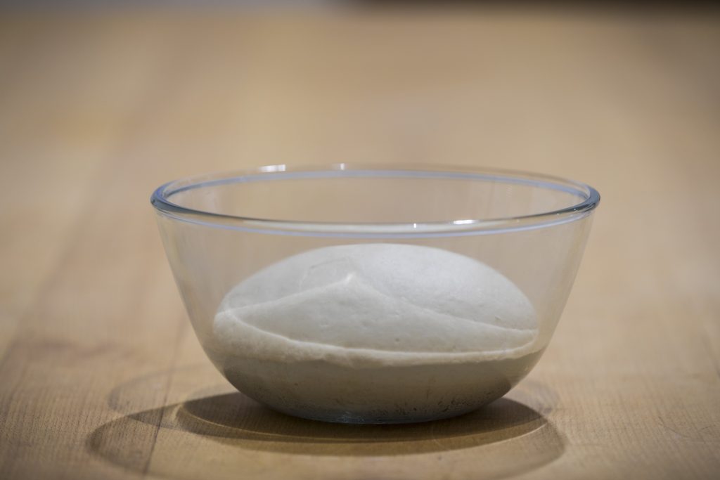 ¿Qué es la Fermentación? ¡Todo lo que debes saber aquí!